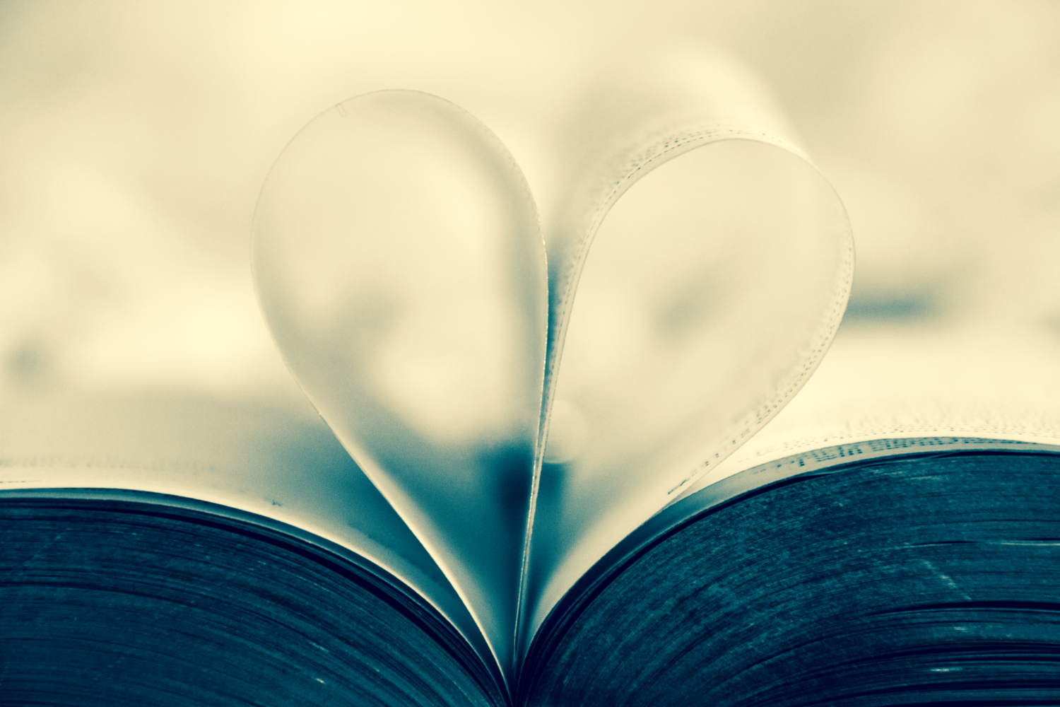 Word For Love Pamela Sackett word-for-love-pamela-sackett